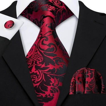 Barry.Wang Paisley Ties for Men Flower Silk Necktie Set with ...