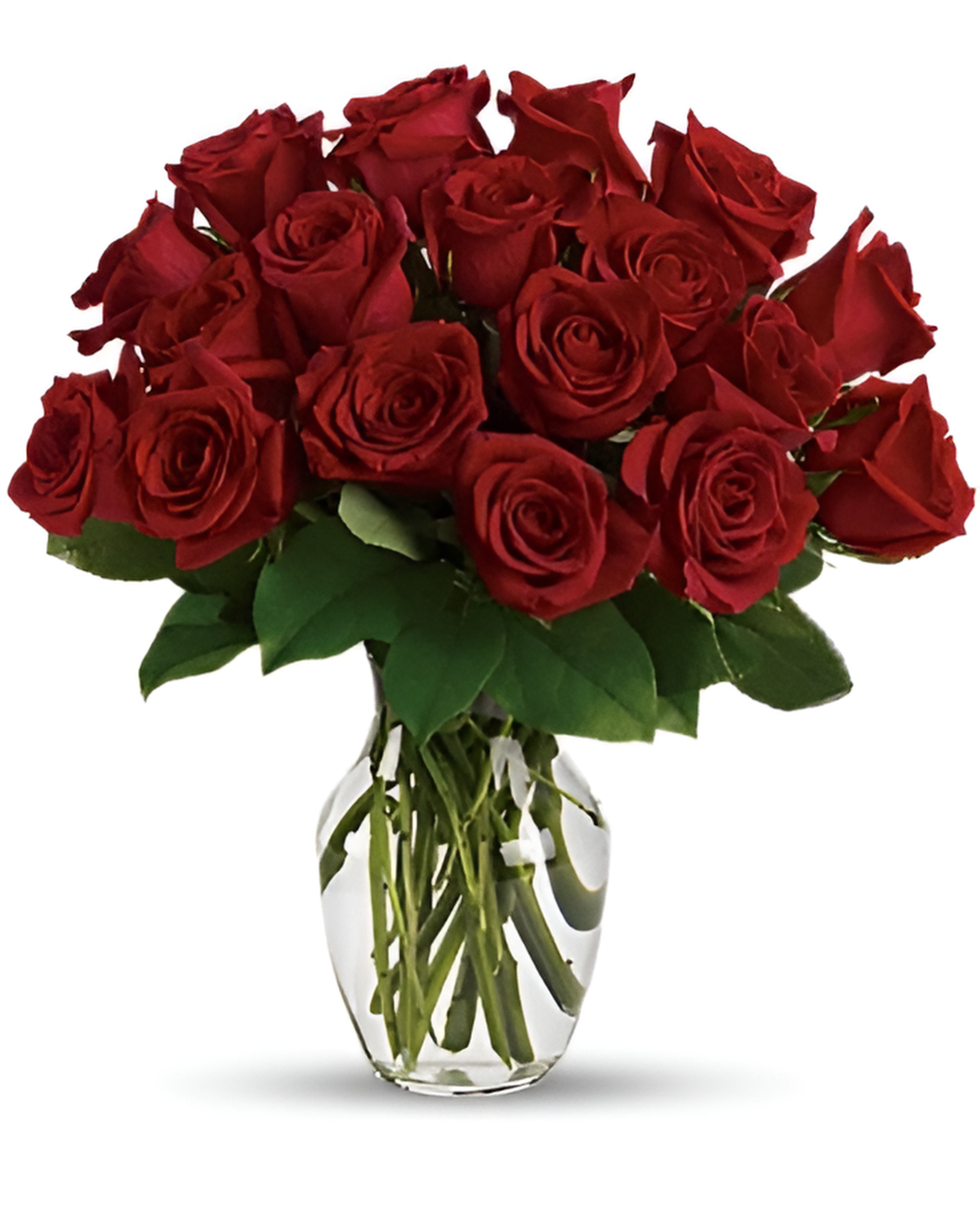 Floral Masters Enduring Passion 12 Red Roses - Walmart.com