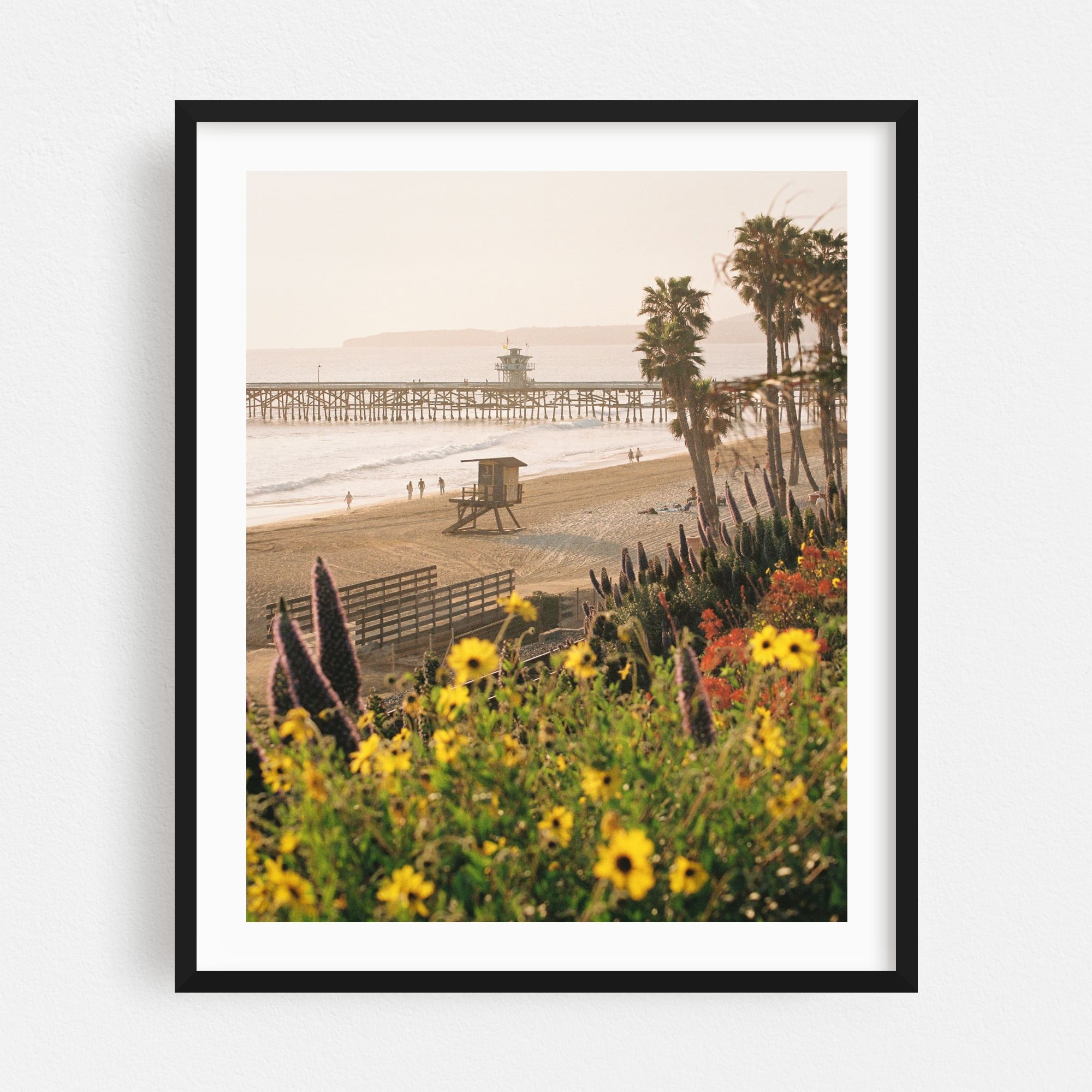 Floral San Clemente 02 - San Clemente California Photography Beach ...