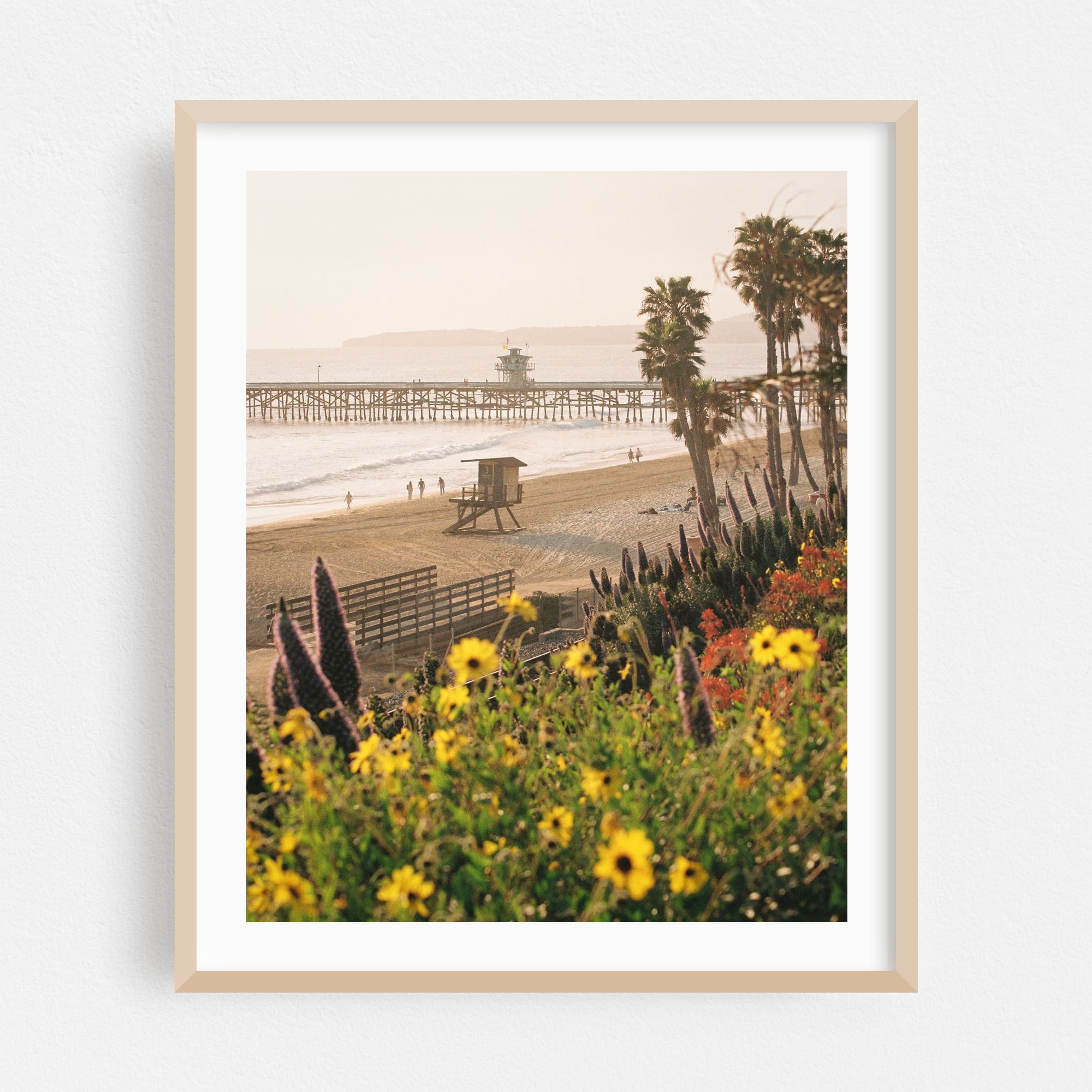 Floral San Clemente 02 - San Clemente California Photography Beach ...