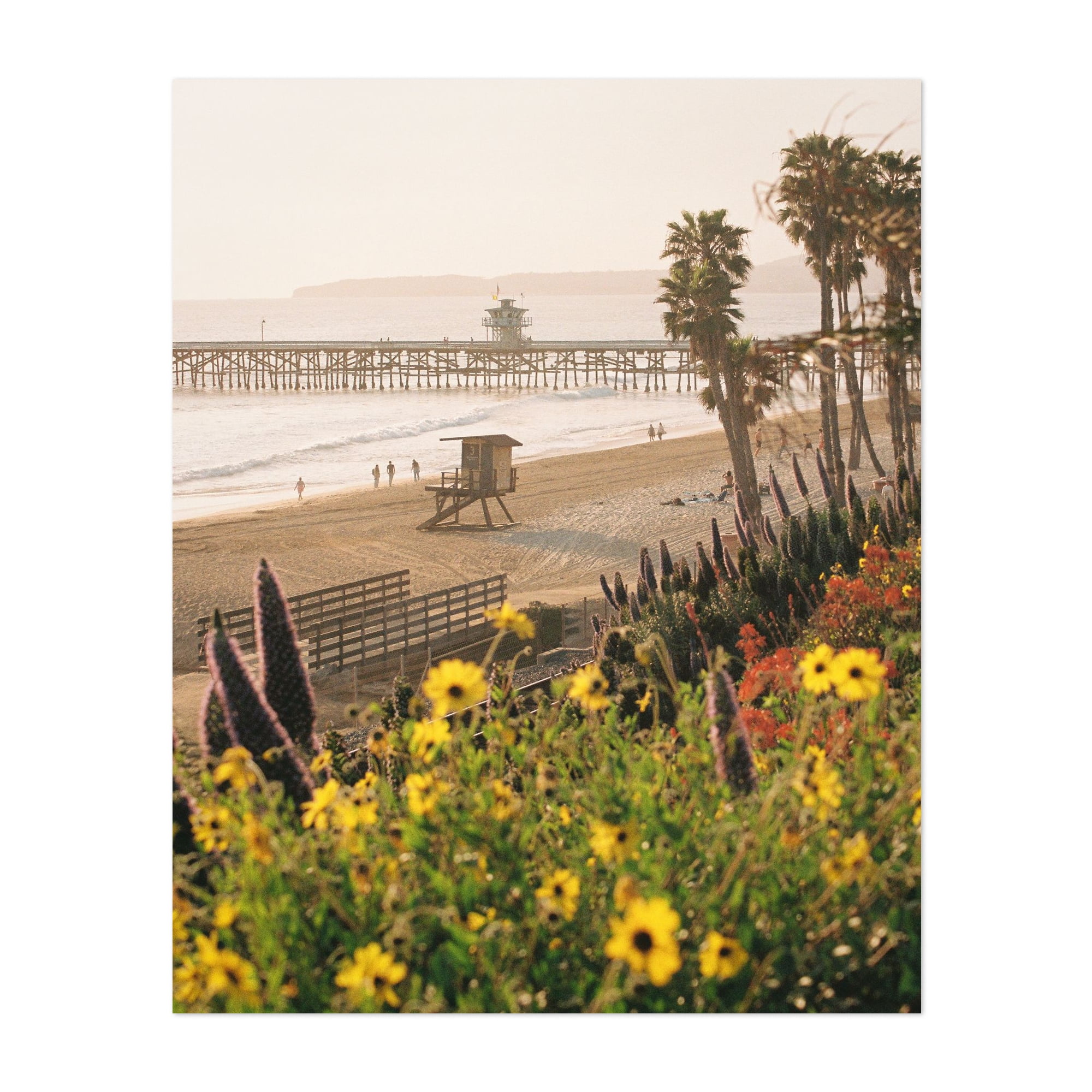 Floral San Clemente 02 - San Clemente California Photography Beach ...