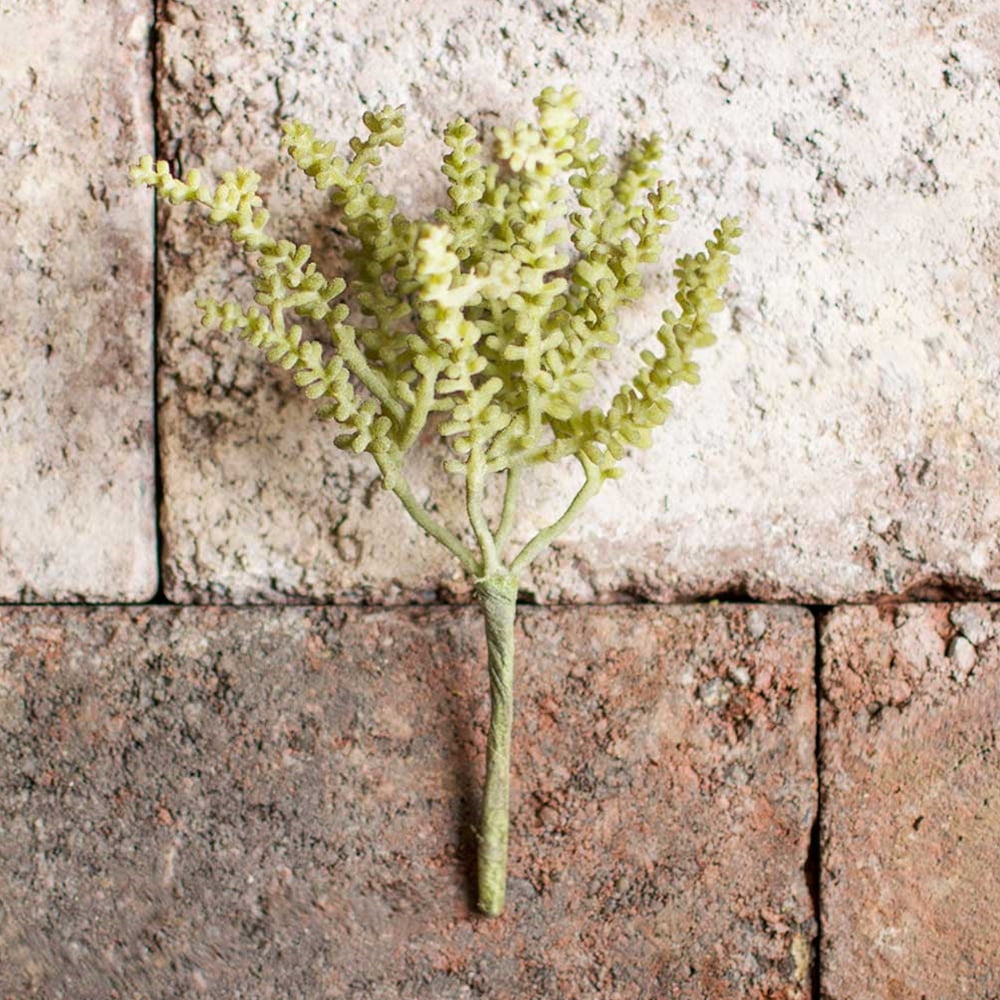 Floral Succulent Sprig Filler Flower Realistic Stem 8 inches Green ...