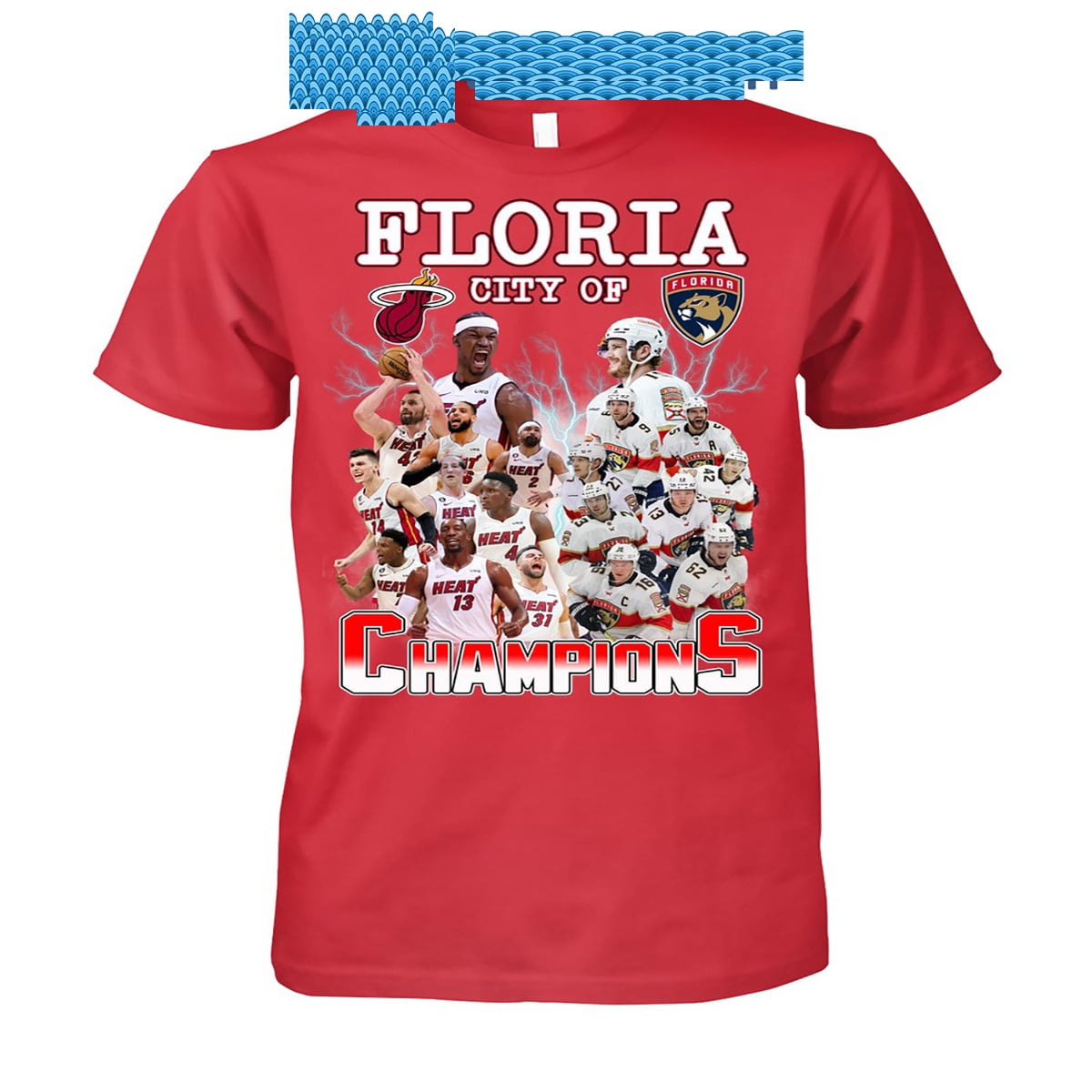 Floria City Of Champions Heat And Panthers T-Shirt - Walmart.com