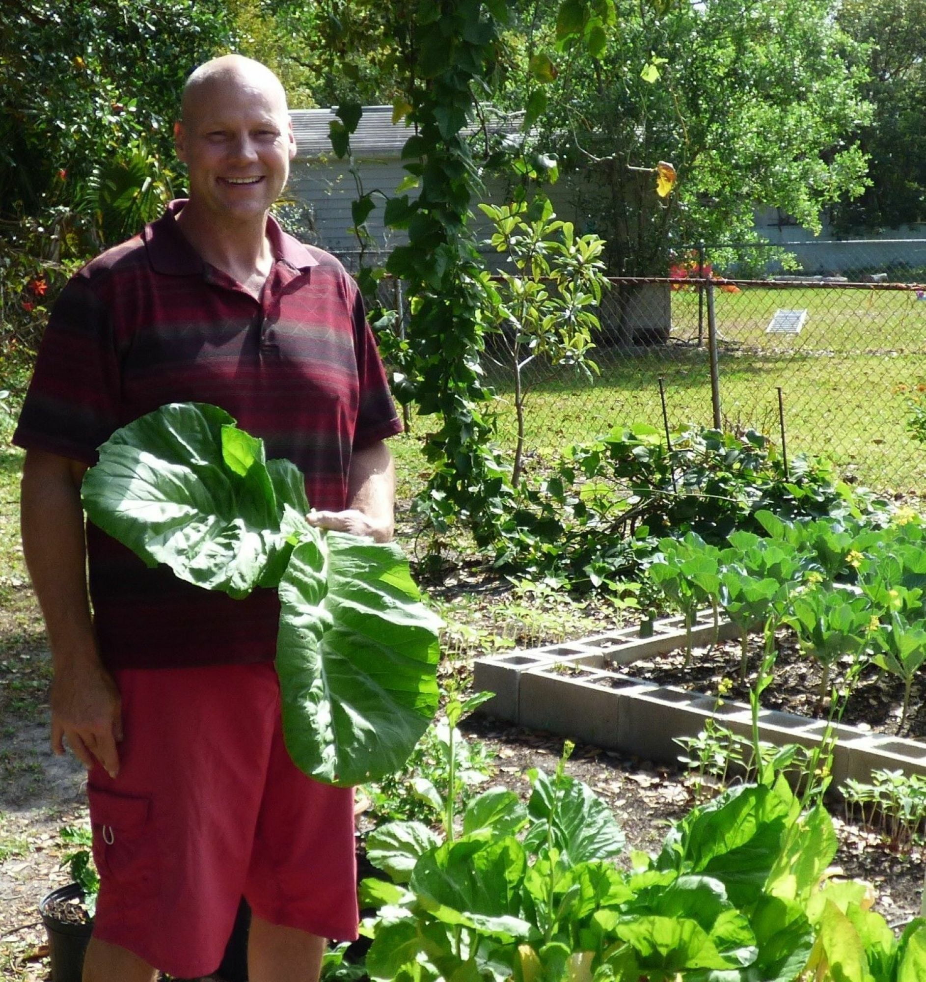 Florida Broadleaf Mustard/ Annual/ Full Sun/ 2800 Seeds 1/4 oz ...