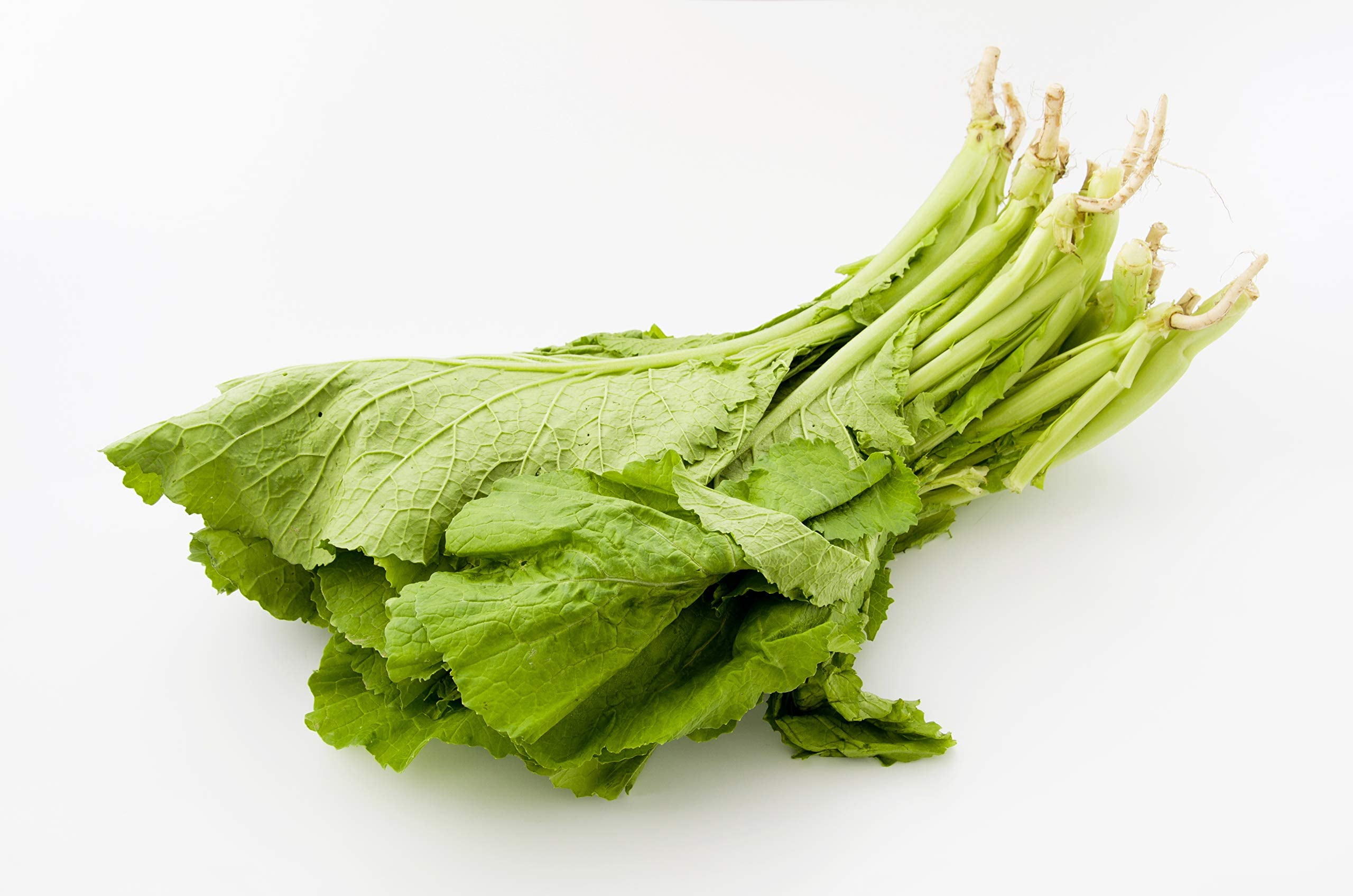 Florida Broadleaf Mustard Greens | 250+ Seeds to Grow | Made in USA ...