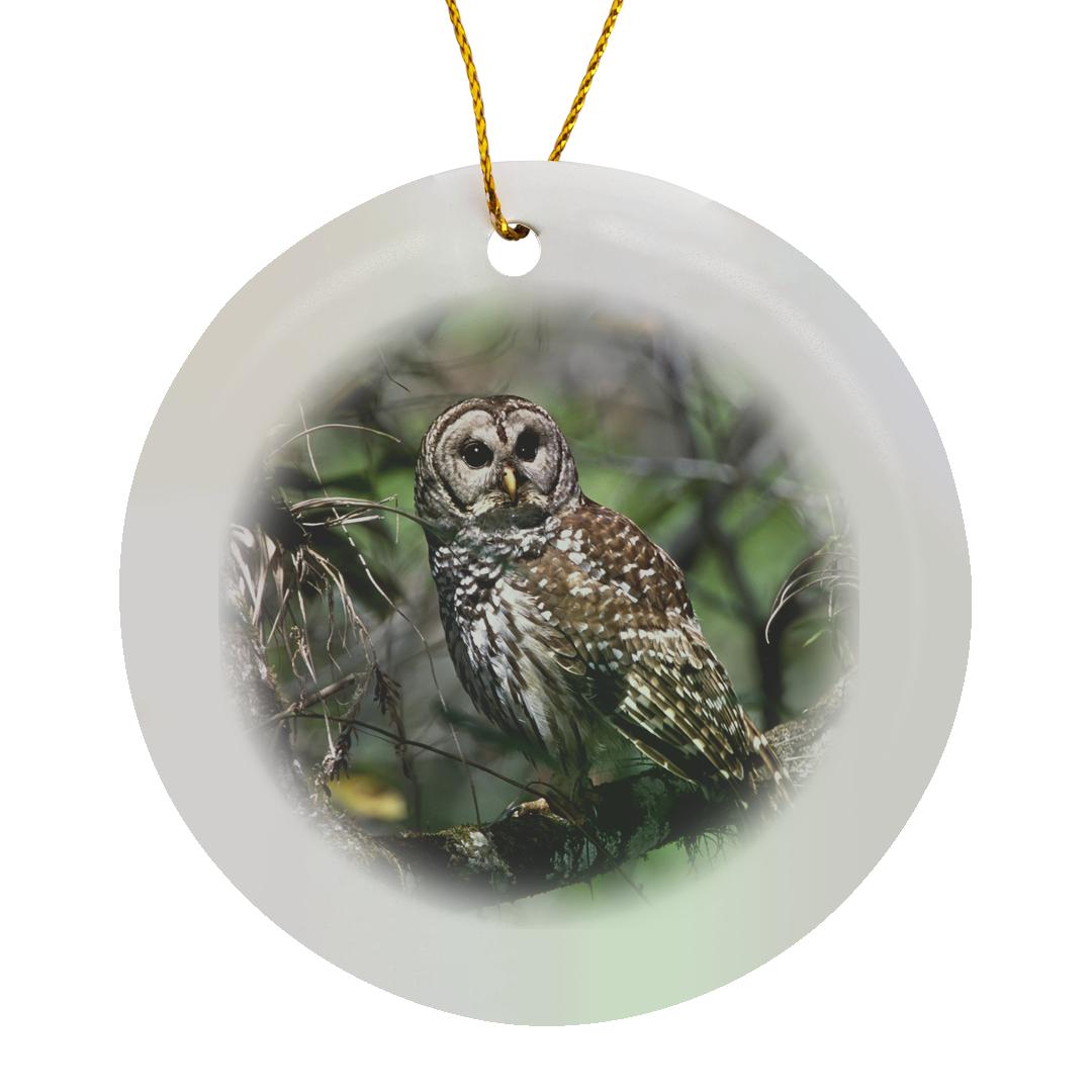 Florida, Cork Screw Swamp Sanctuary. Barred Owl - Us10 Csl0121 ...