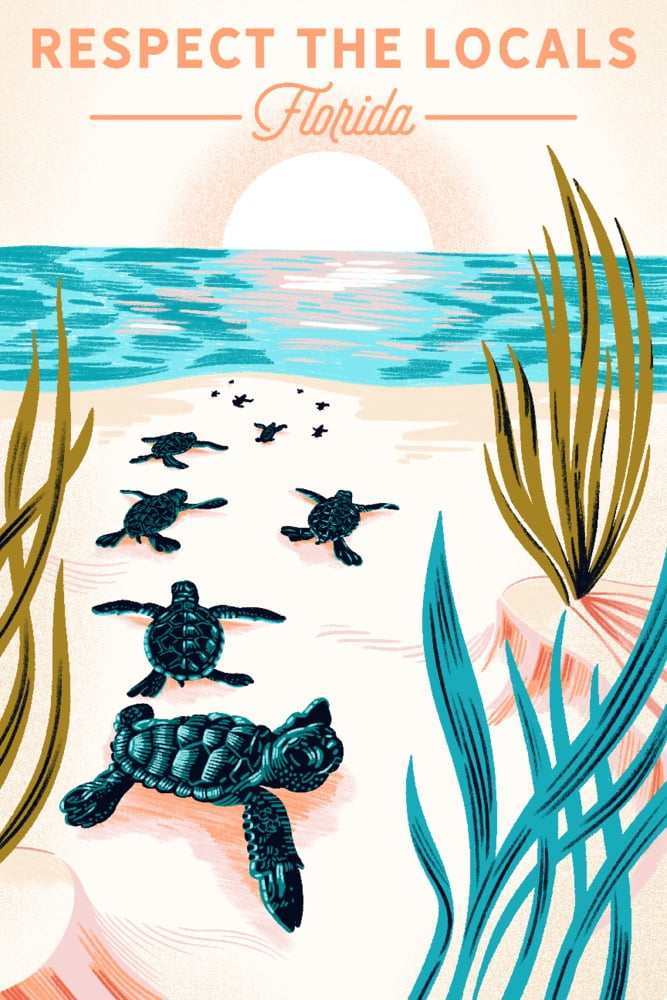 Florida, Courageous Explorer Collection, Turtle, Respect the Locals ...
