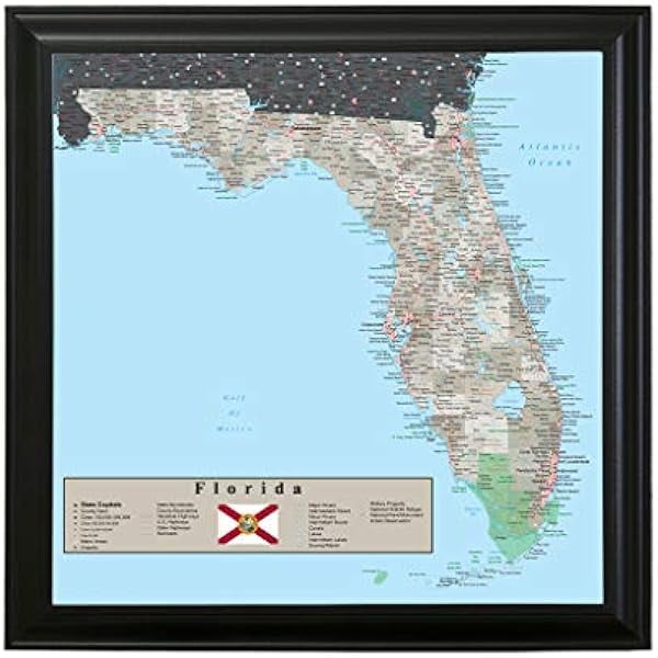 Florida - Earth Toned - Black Frame - 150 Pins Included - 27.5 inches x ...
