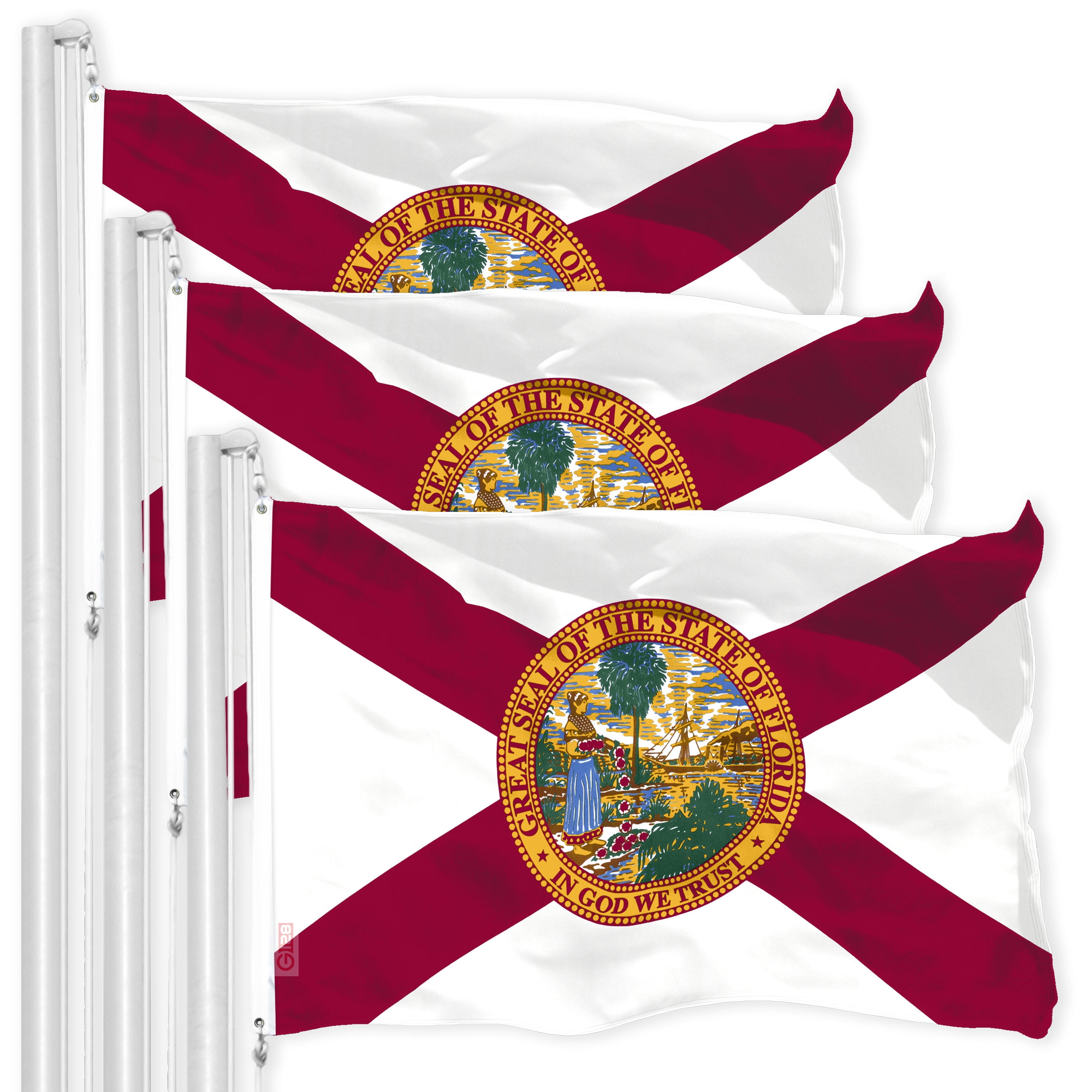 Florida FL State Flag 3x5FT 3-Pack 150D Printed Polyester By G128 ...