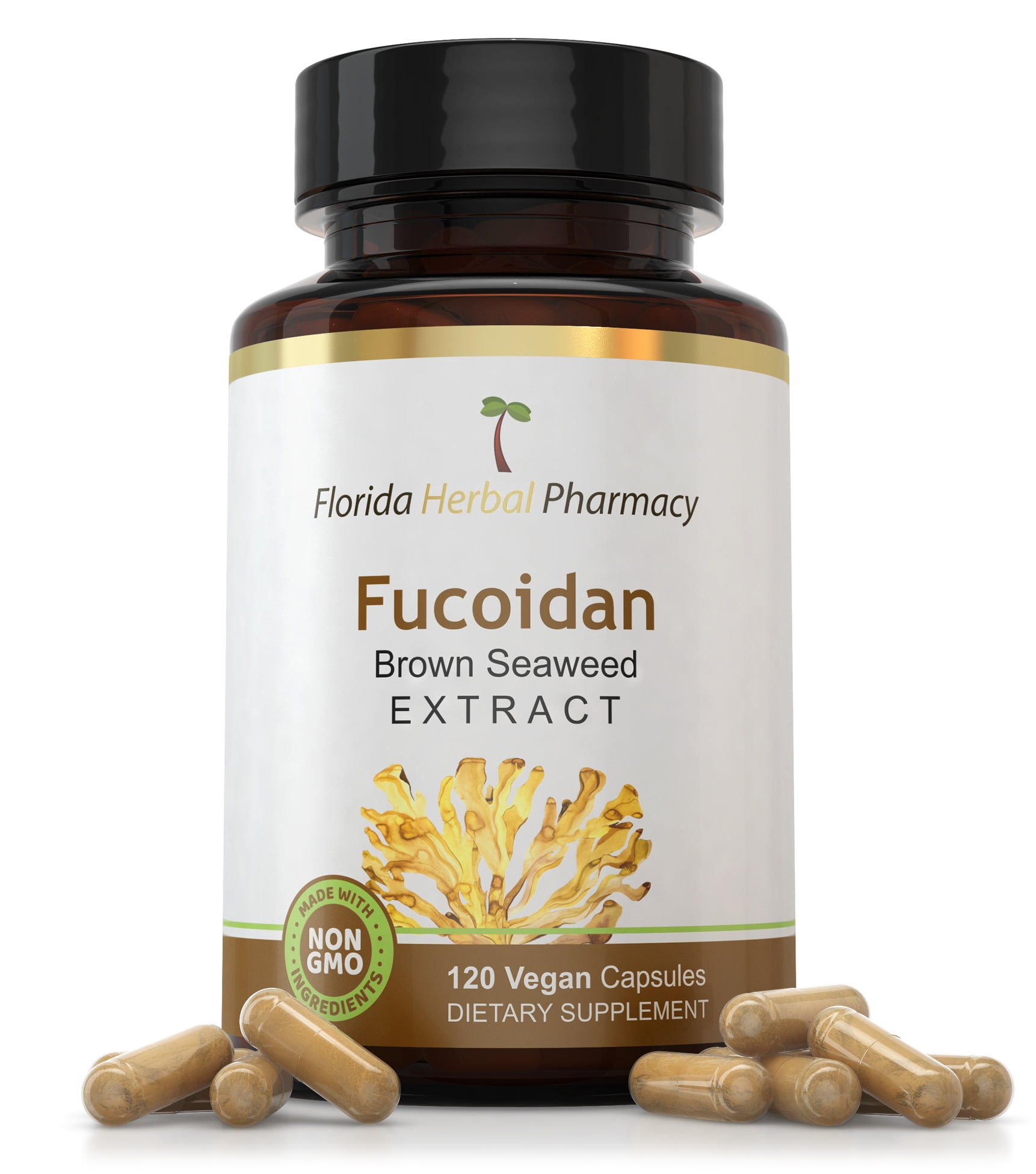 Florida Herbal Pharmacy, Fucoidan Extract Capsules 10:1 (120 Capsules ...