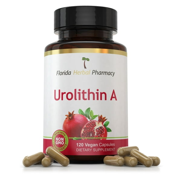 Supplements Lymphatic System