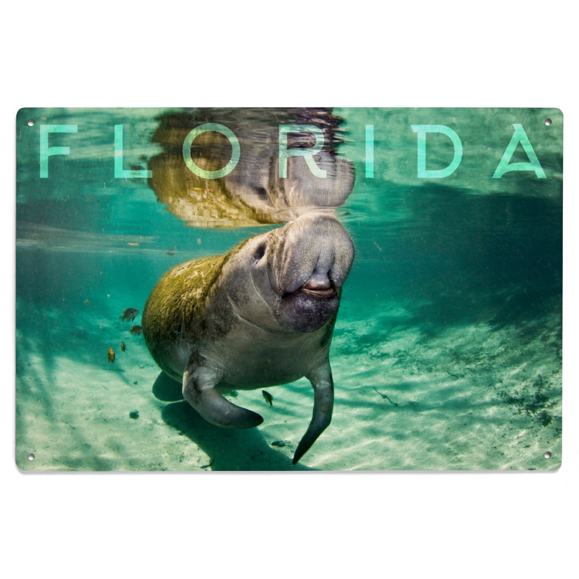 Florida, Manatee, Photography Birch Wood Wall Sign (6x9 Rustic Home ...