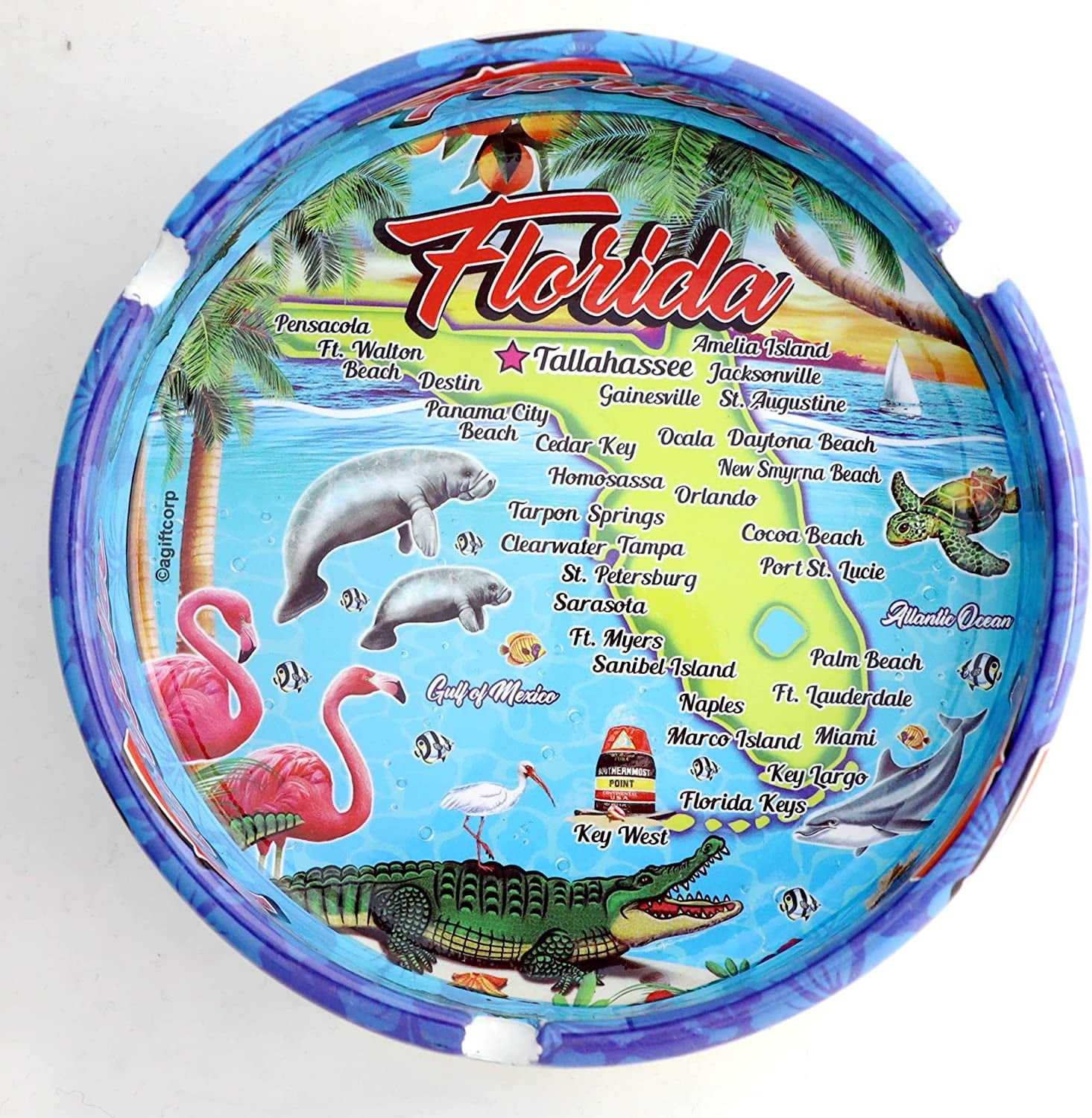 Florida Map Full Wrap Porcelain Ashtray 5" - Walmart.com