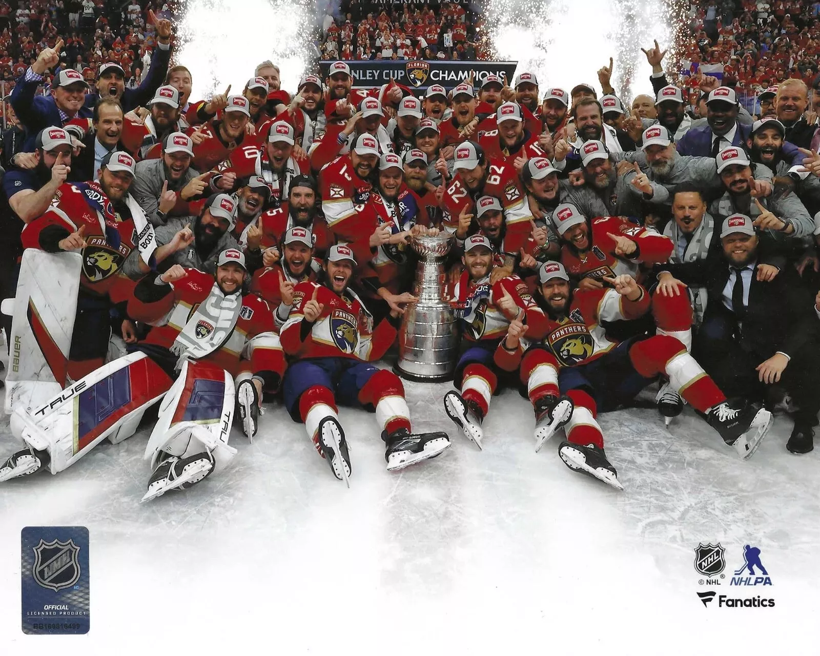 Florida Panthers Celebrate The 2024 Stanley Cup Victory Multi-size ...