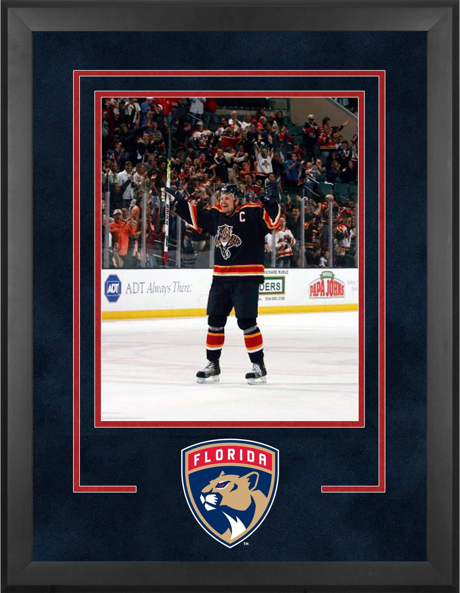 Florida Panthers Deluxe 16" x 20" Vertical Photograph Frame - Walmart.com