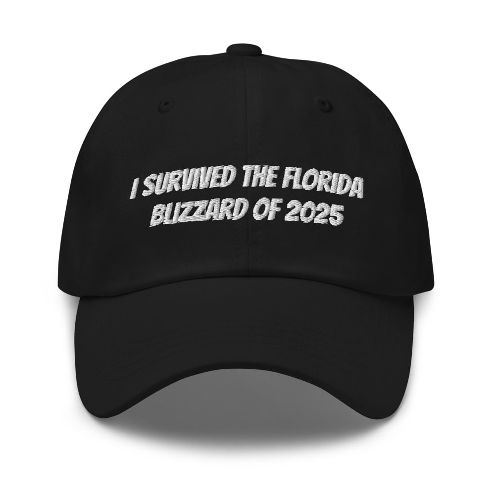 Florida Snow Storm 2025 Embroidered Dad Hat, I Survived The Florida ...