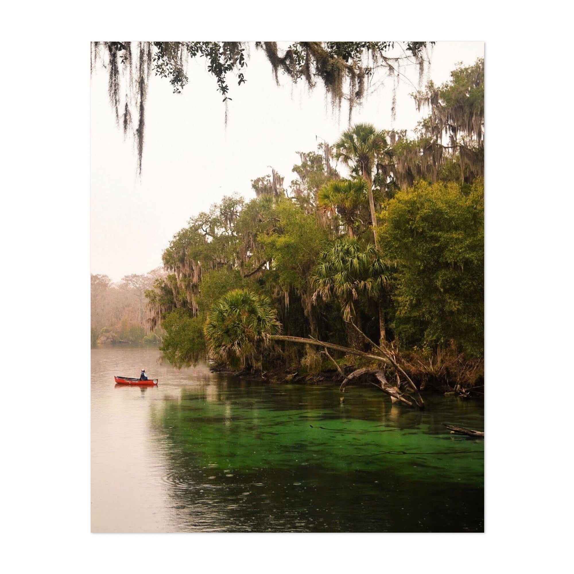 Florida Springs Still Life - Florida Photography Nature Boat Wilderness ...