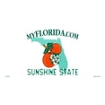 Florida State Background Blanks Flat- Automotive License Plates Blanks ...