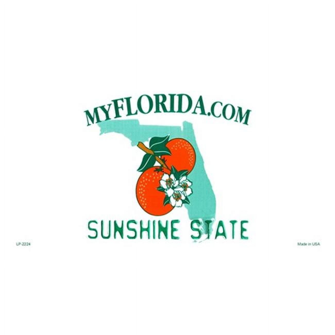 Florida State Background Blanks Flat- Automotive License Plates Blanks ...