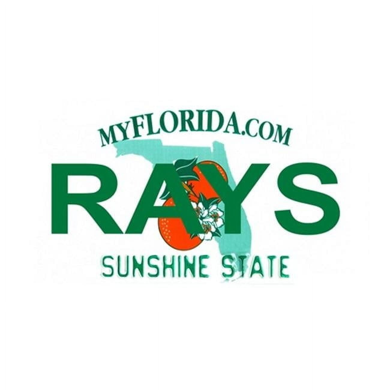 Florida State Background License Plates- Rays 6 x 12 standard size ...