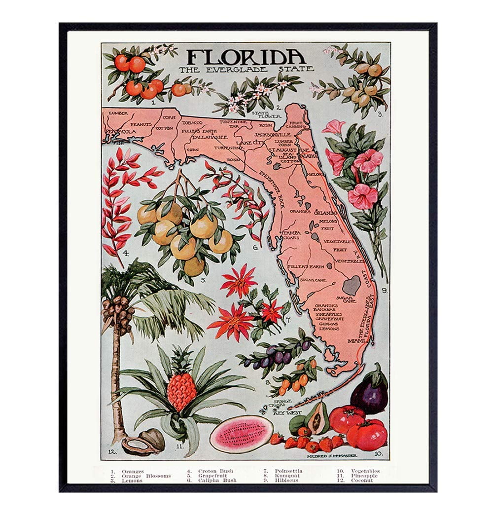 Florida Wall Decor - YPF5 Vintage Florida Poster - 8x10 Travel Posters ...
