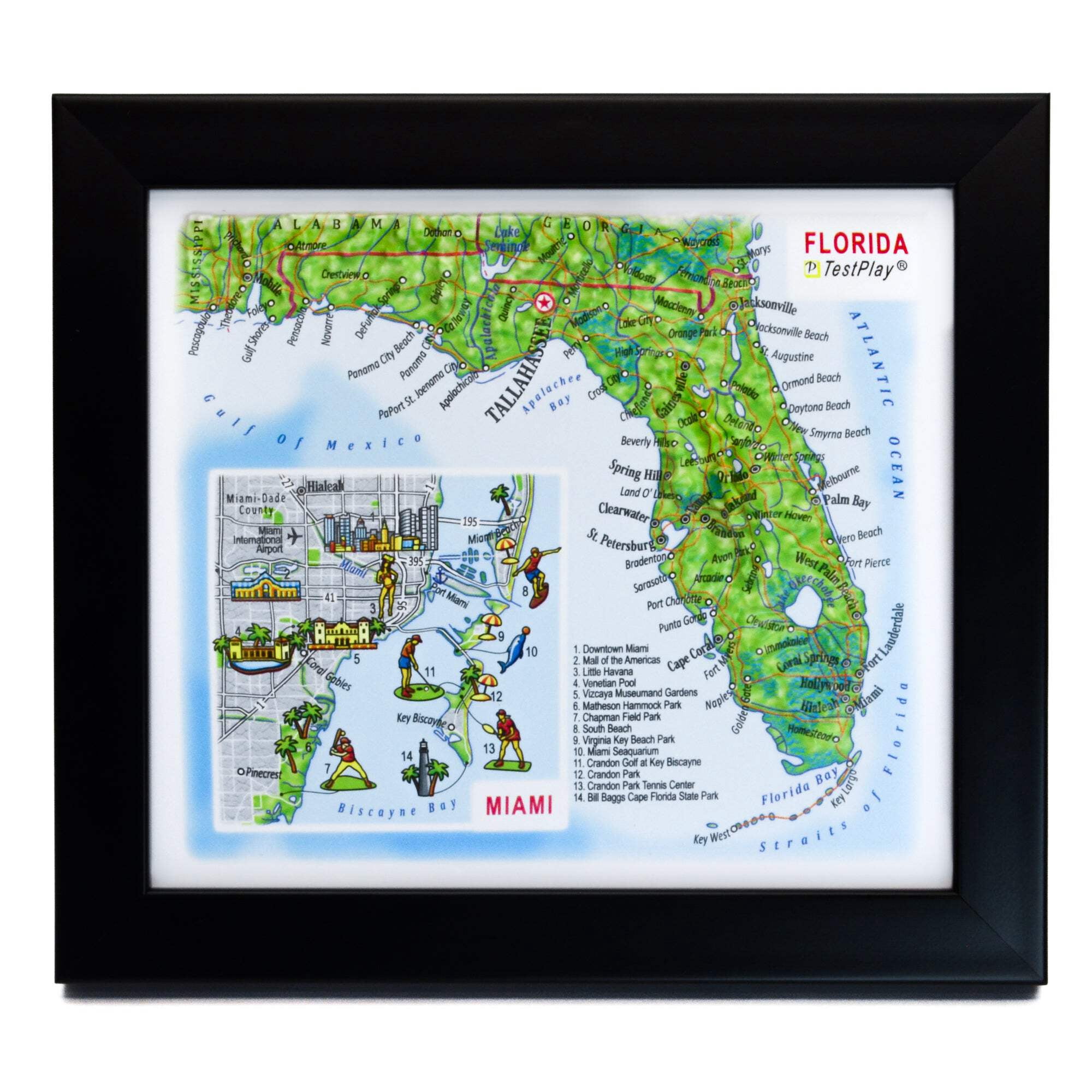 Florida and Miami 3D Raised Relief Map - Walmart.com