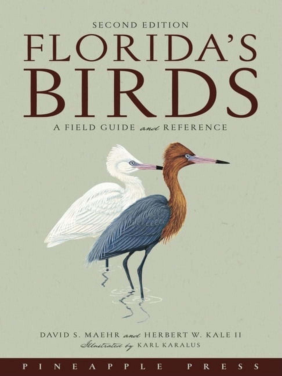 Florida's Birds : A Field Guide and Reference (Edition 2) (Paperback ...