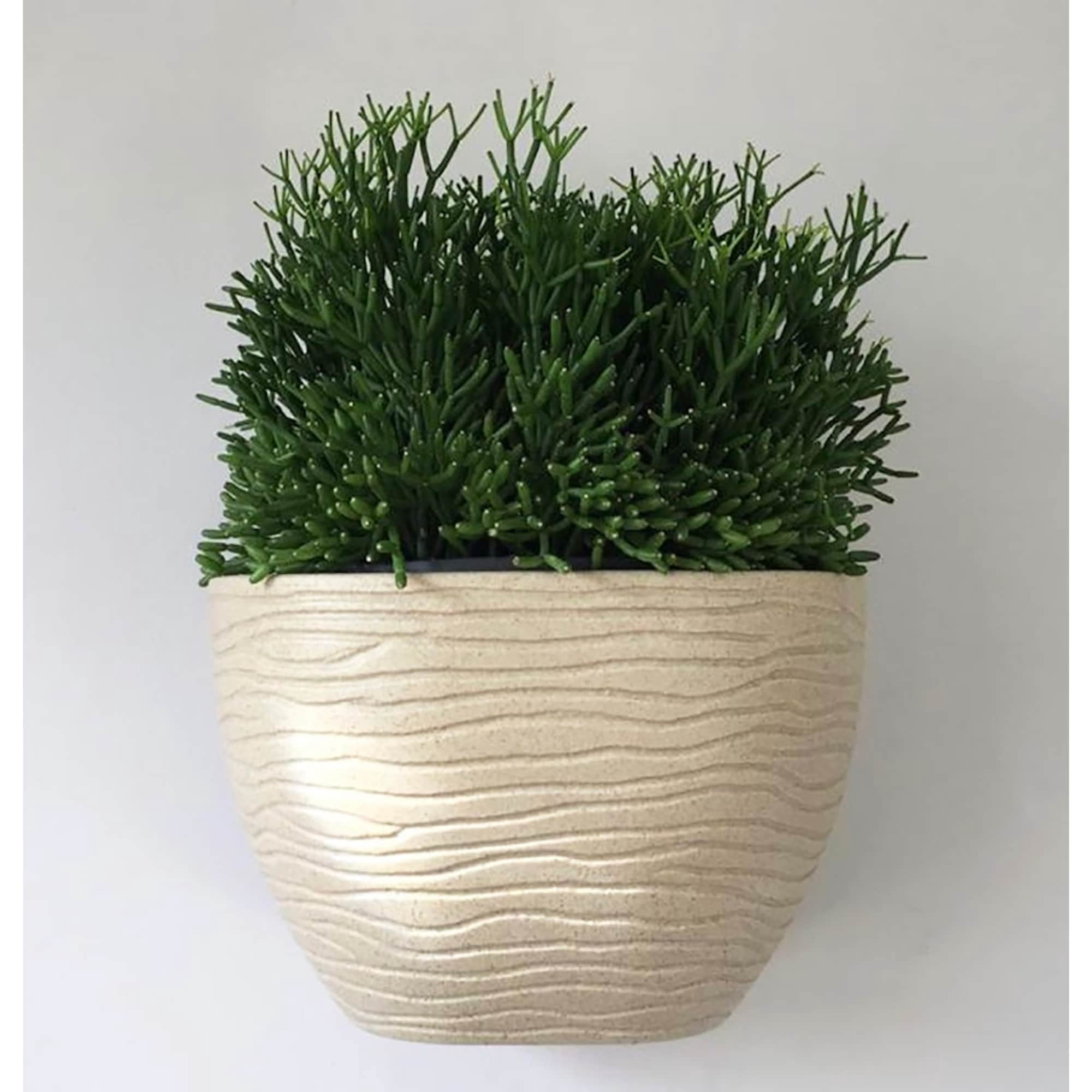 Floridis Wall Planter Beige Stone Effect 6.69H x 9.84W x 7.87D ...