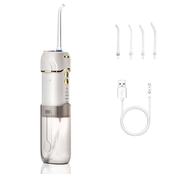 Mini Cordless Water Flosser for Teeth with 4 Jet Tip,160ML Water Tank ...