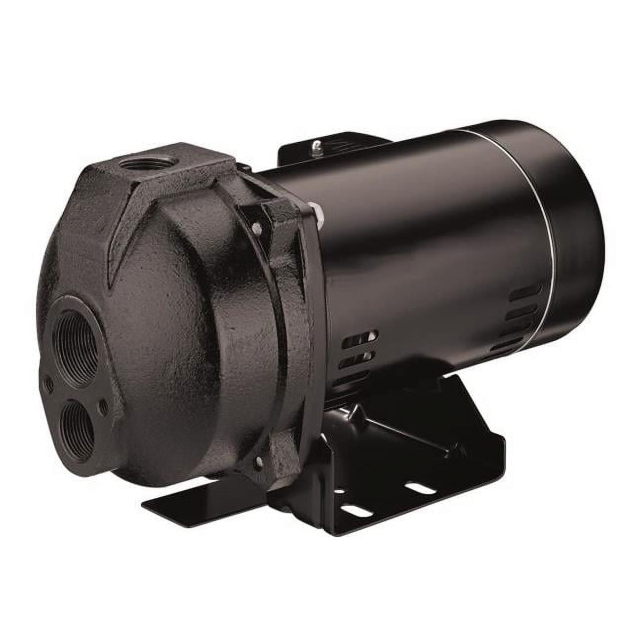 Flotec 1/2 HP 540 gph Cast Iron Convertible Jet Well Pump - Walmart.com