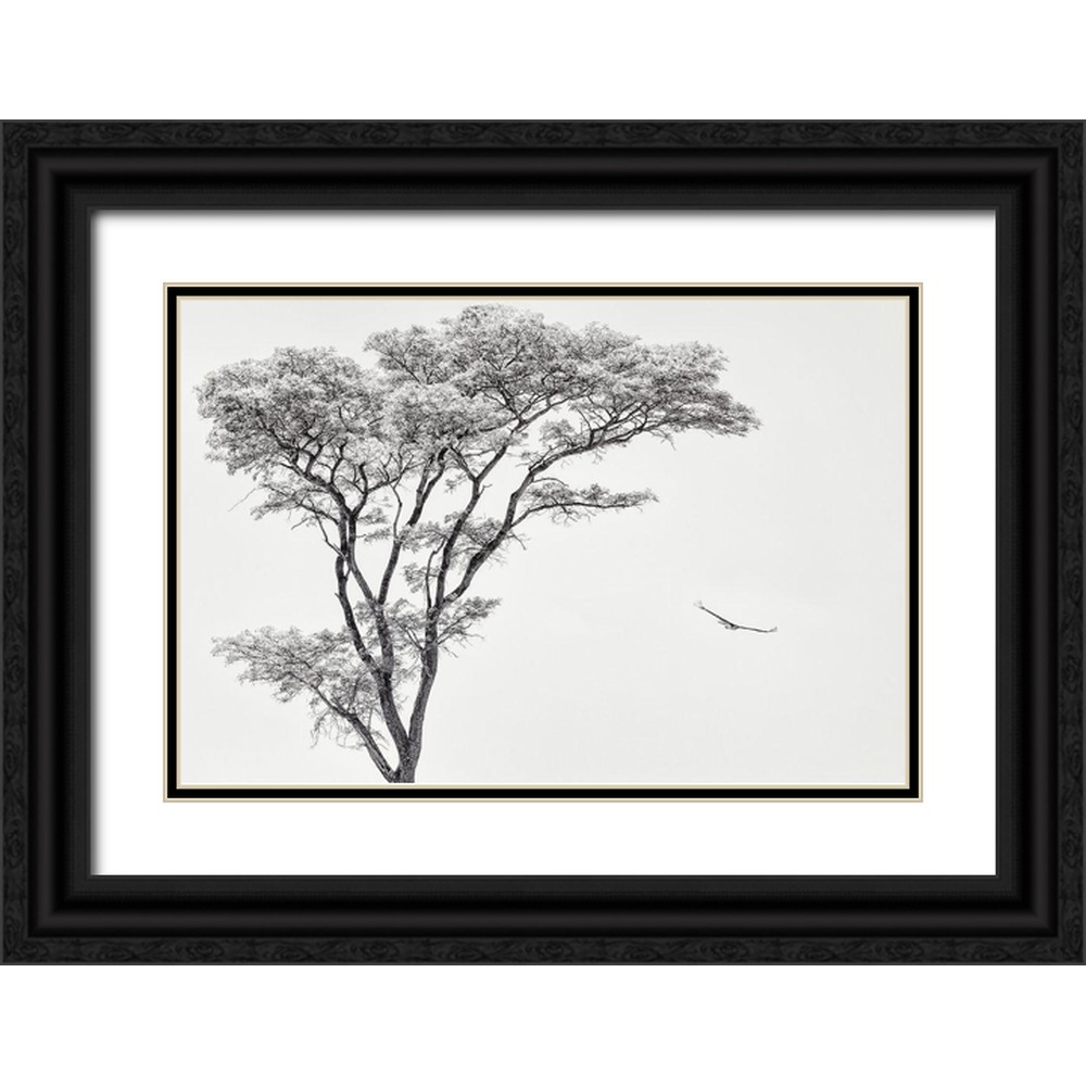 Flour, Piet 32x23 Black Ornate Wood Framed with Double Matting Museum ...