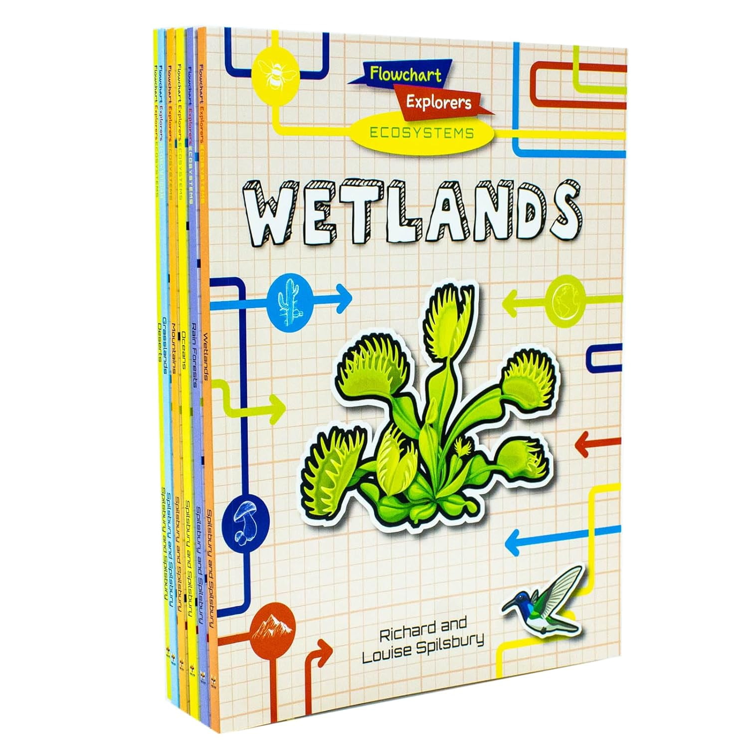 Flowchart Explorers Ecosystems STEM 6 Geography Science Books Set ...