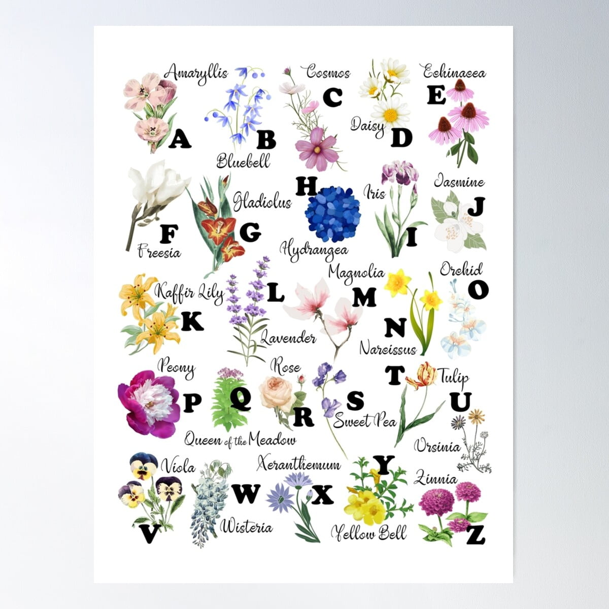 Flower Alphabet Poster Wall Art, Modern Wall Decor For Living Room ...
