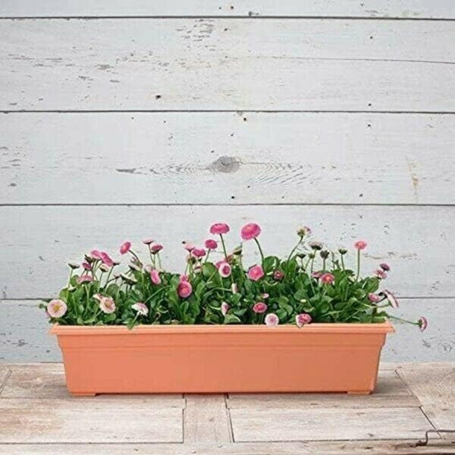 Flower Box Planter, 30" Terracotta Measures 30-inch Length by 8-inch ...