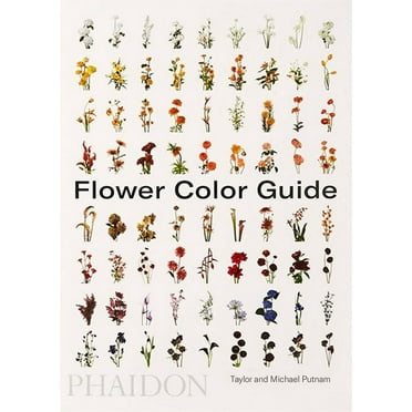Color Me Floral: Stunning Monochromatic Arrangements for Every Season ...