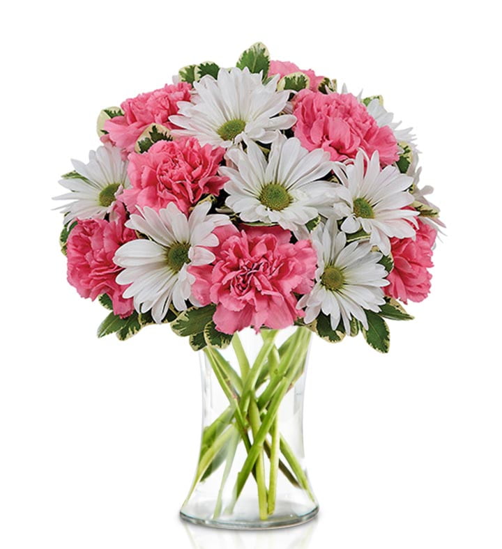 "Flower Country Daisy and Rose Bouquet, Pink Roses, White Daisies, 12 ...