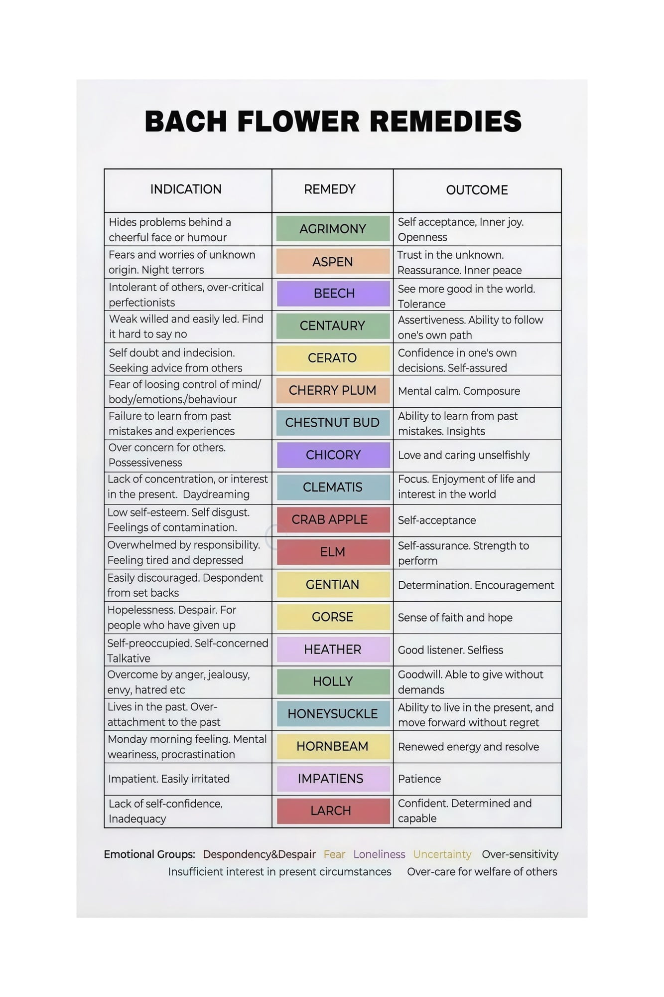 Flower Essences Guide Chart Poster Calming Therapy Wall Art with ...