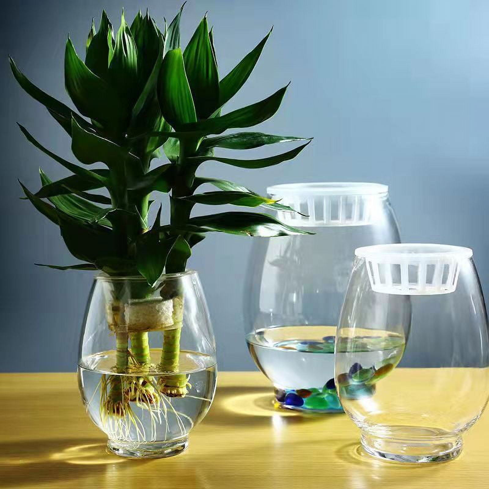 Flower Glass Terrarium Creative Transparent Glass Hydroponic Vase ...