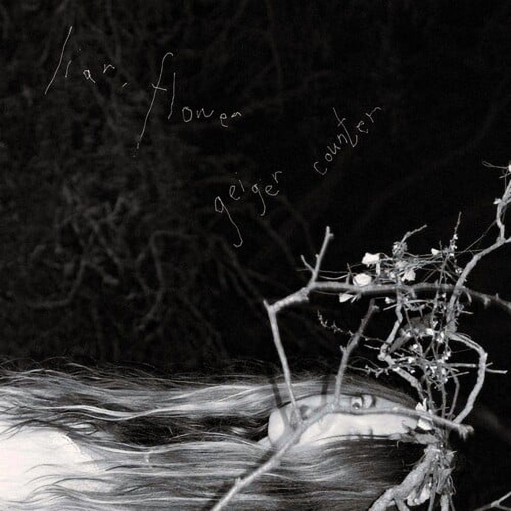 Flower Liar - Geiger Counter - Music & Performance - CD - Walmart.com
