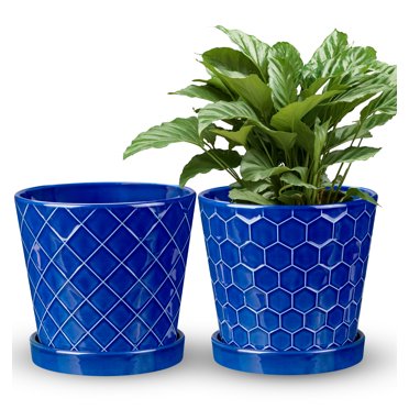 Gepege Decorative 5.9 Inch Ceramic Planter Set of 2, Indoor Orchid ...