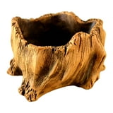Flower Planter Cement Pots Featuring Tree Root Designs Suitable for ...