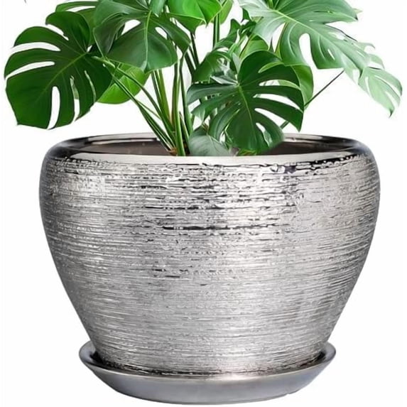 Flower Pot - 10 Inch Planter with Drainage Hole and Saucer - Indoor ...
