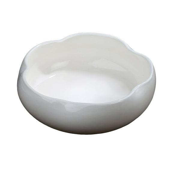 Flower Pot Ceramic Bowl Planter for Indoor Use with Water-friendly ...