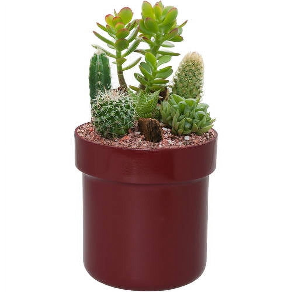 Flower Pot Diversion Safe Marsala 4202 - Walmart.com