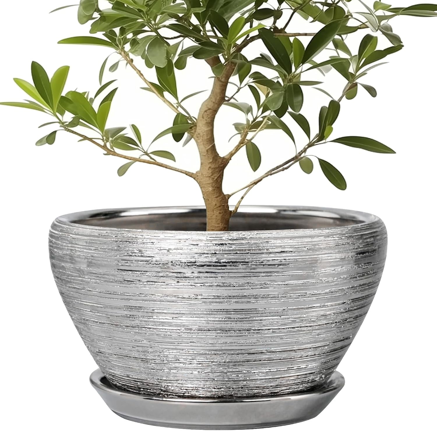 Flower Pot for Indoor Plants - Ceramic Planter 13 Inch Plant Pot with ...
