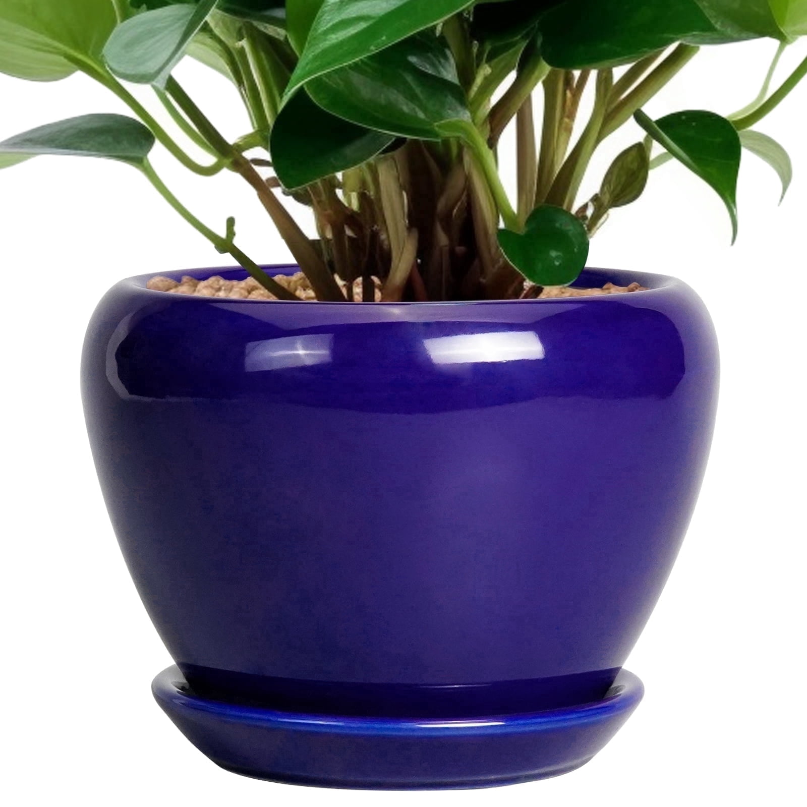 Stillaflora 6 inch Blue Round Ceramic Decorative Planter with Drainage ...