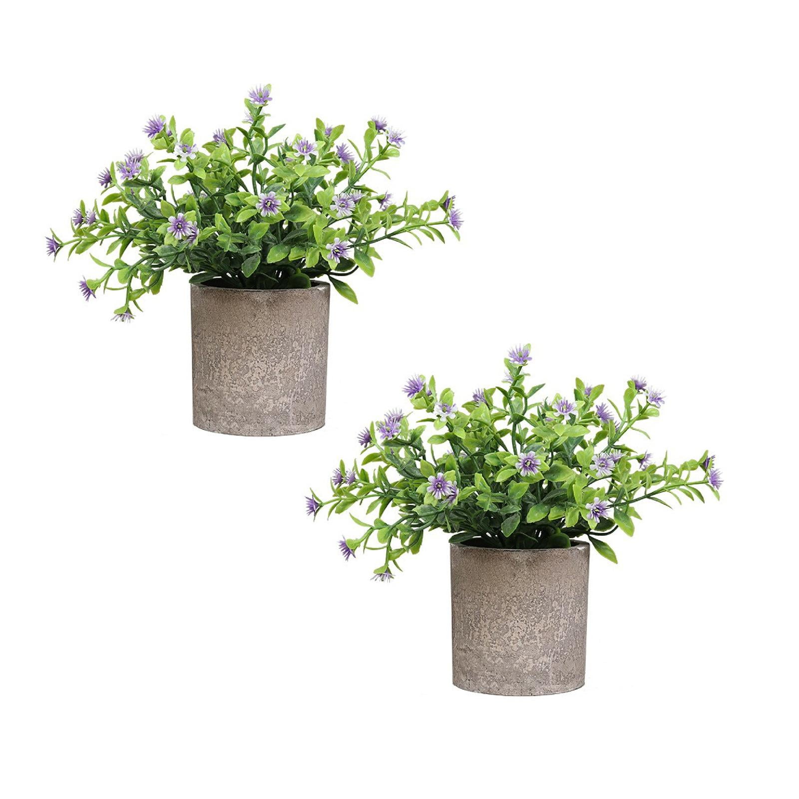 Flower Pots Home Desktop Potted Plants, Potted Plants, Potted Pelvic ...