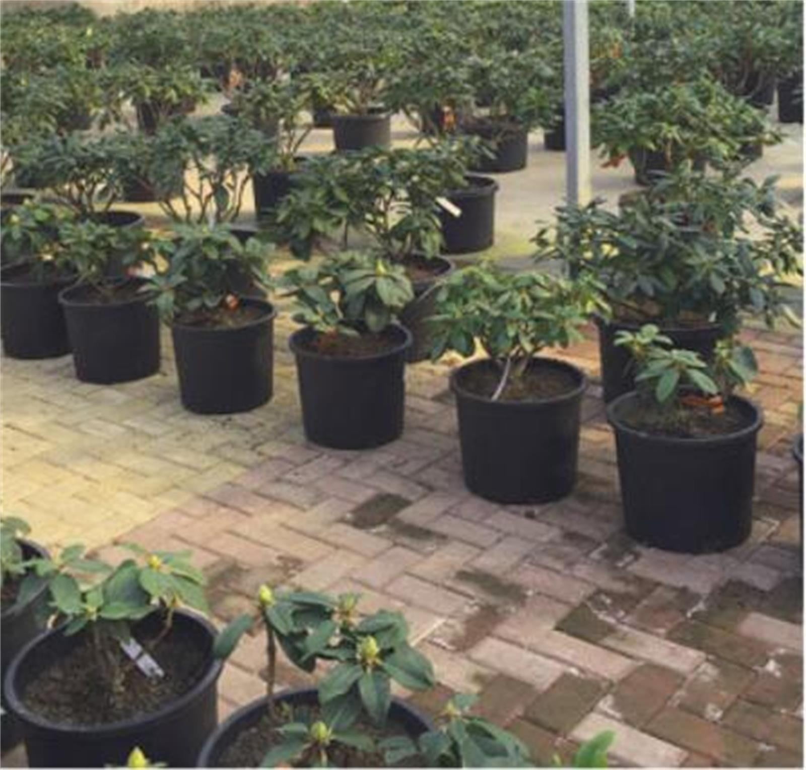 Flower Pots Tantouec 3Pc 3 Gallon Pots for Planting Trees Garden ...