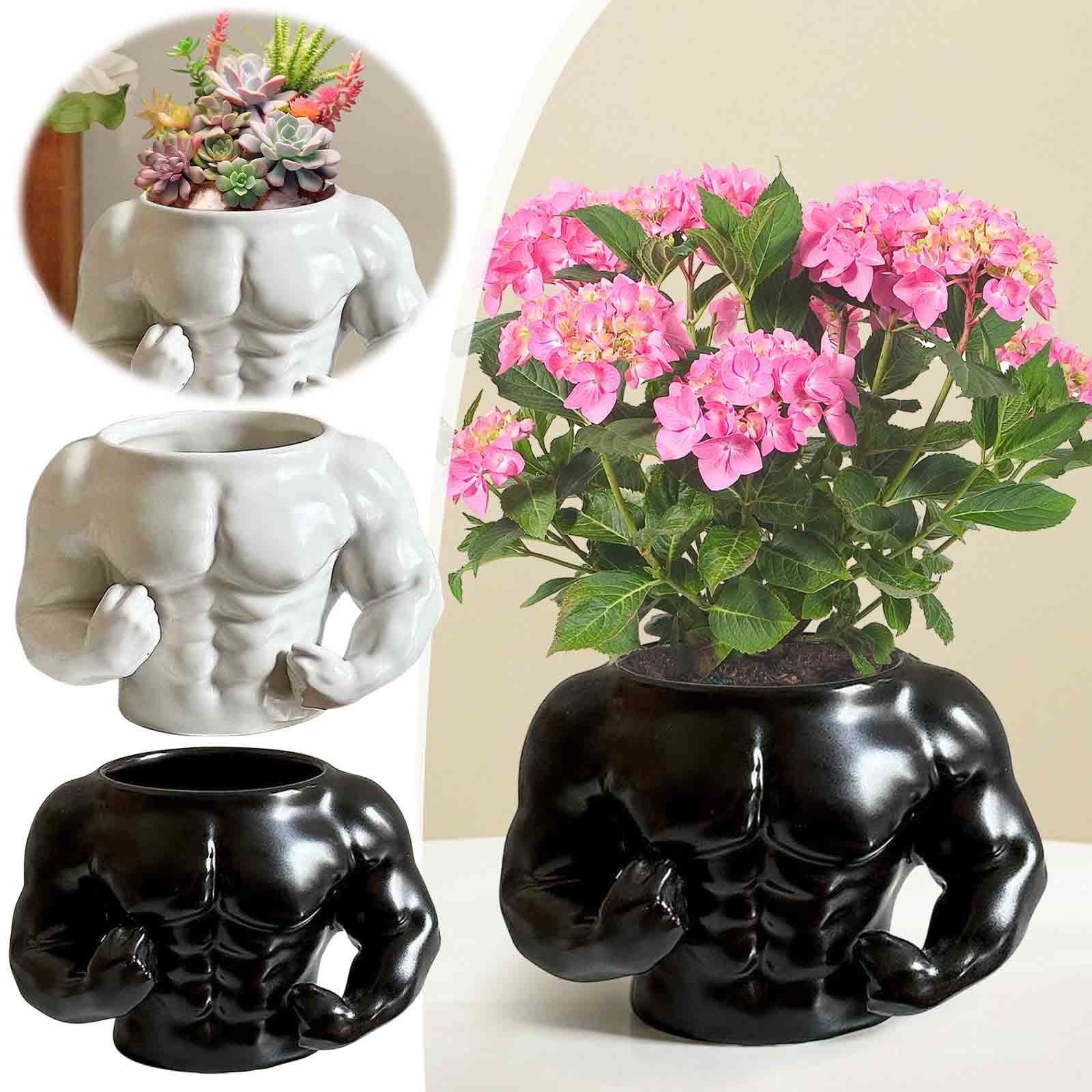 Flower Pots for Succulents, FitnessThemed Plant Pots, Creative Muscle ...