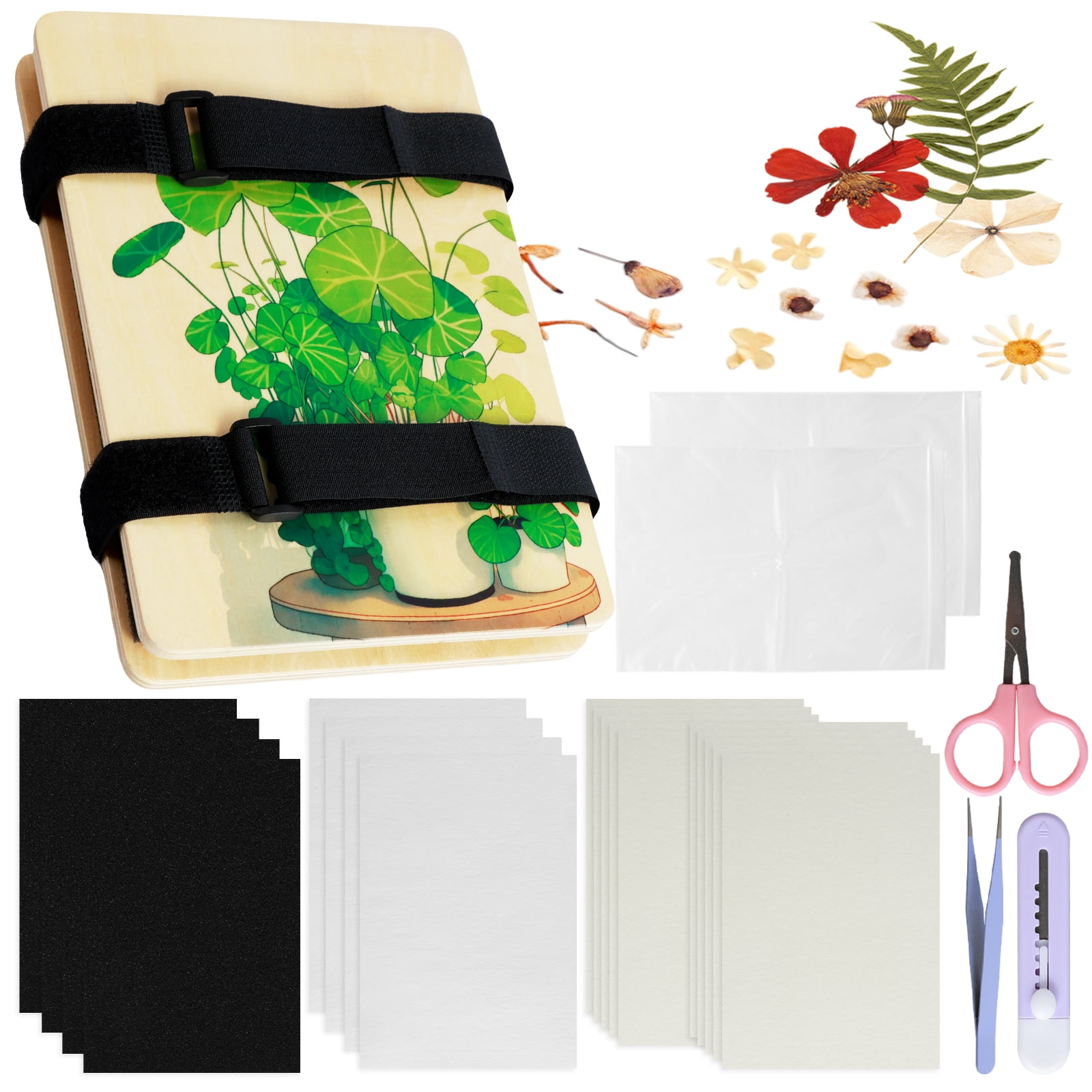 Flower Press Kit Wood Flower Leaf Plant Press Kit Complete Flower ...